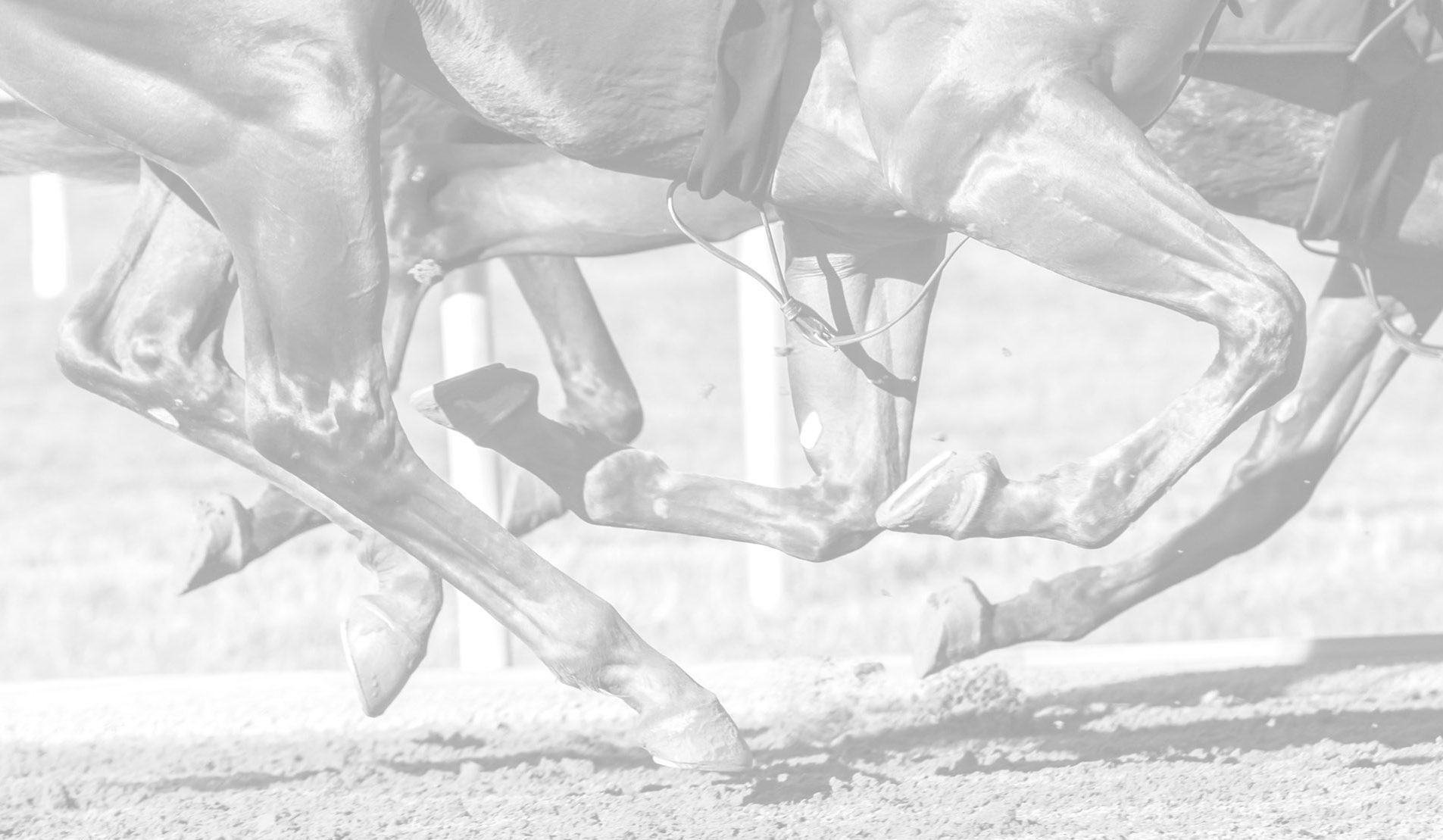 Robin Dawson – Author, Last Hurrah, Racing Fiction Novel